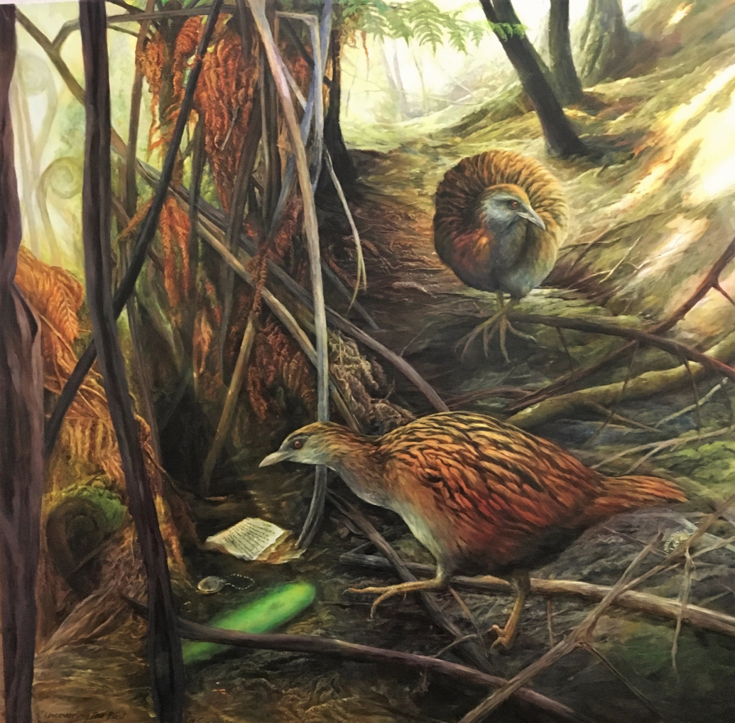 RECENT WORKS - New Zealand Wildlife Art - Merrilyn Jaquiery Artist